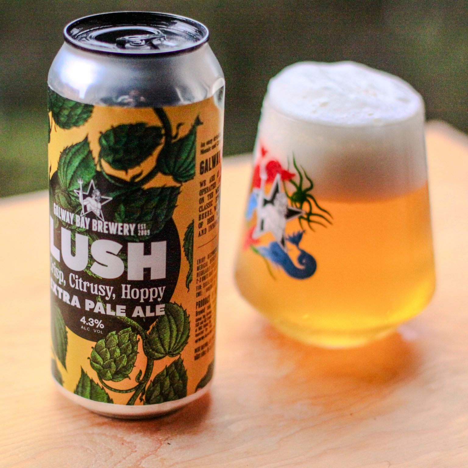 LUSH EXTRA PALE ALE 6 PACK – Galway Bay Brewery Shop