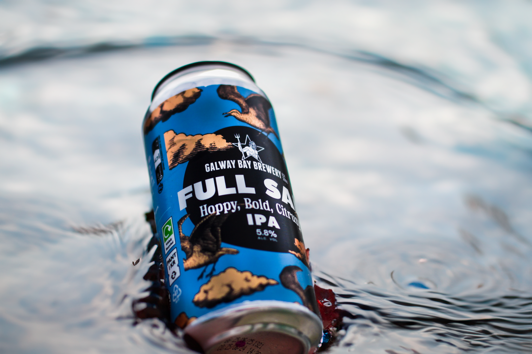 Full Sail IPA 440ml 12 PACK BLACK FRIDAY SPECIAL – Galway Bay Brewery Shop